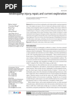 Cook Purdam 2009 - Continuum Model | PDF | Tendon | Clinical Medicine