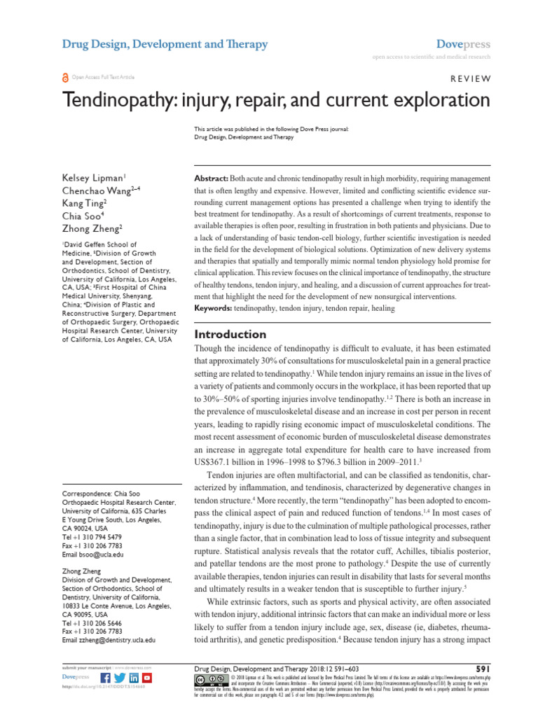Tendinopathy - injury, repair, and current exploration | PDF | Tendon ...