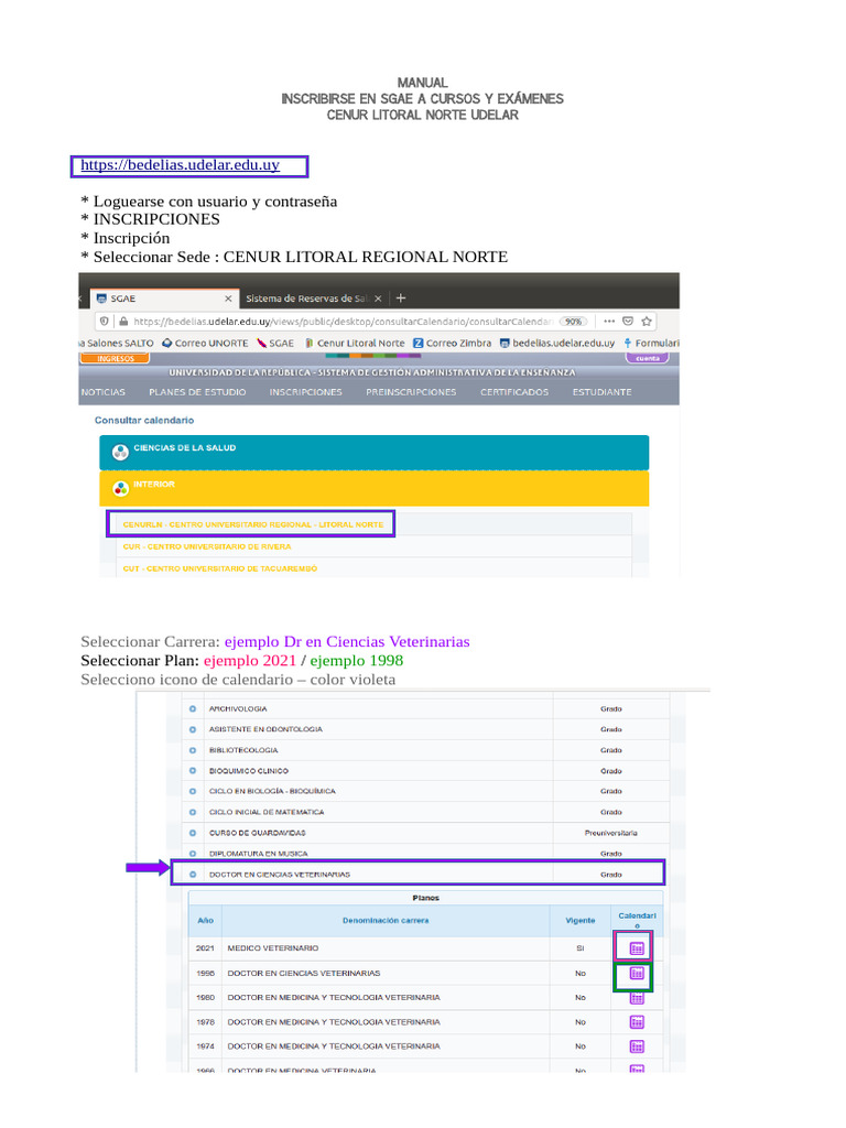 Manual para Inscribirse en SGAE Version 02.04.2024 | PDF