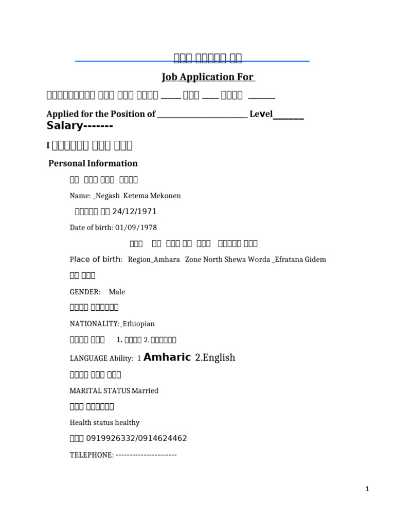 Negash CV 1 | PDF