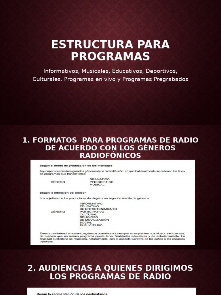 Estructura de los programas | PDF