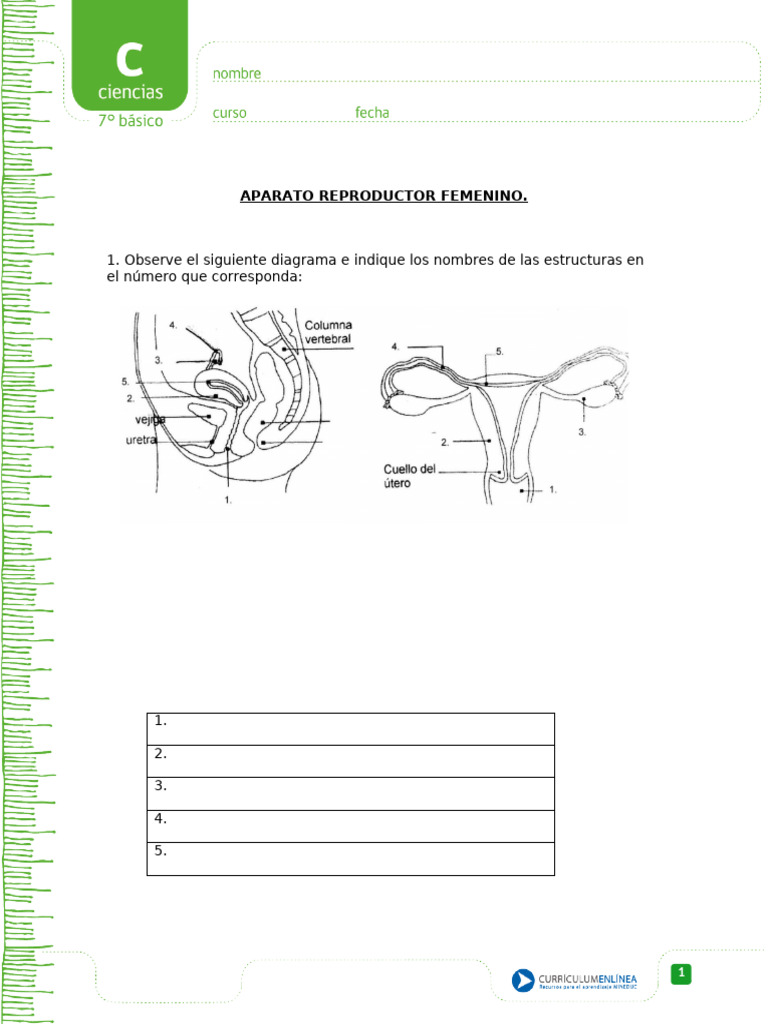 Articles-26566 Recurso Docx | PDF