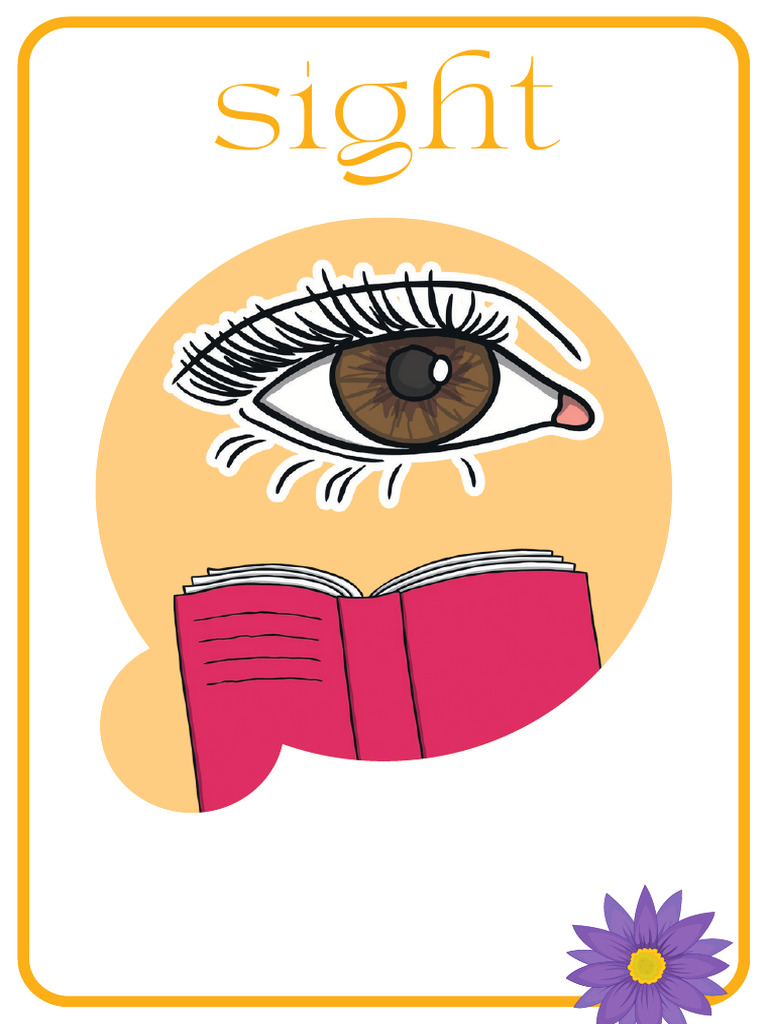 The Five Senses Explained | PDF