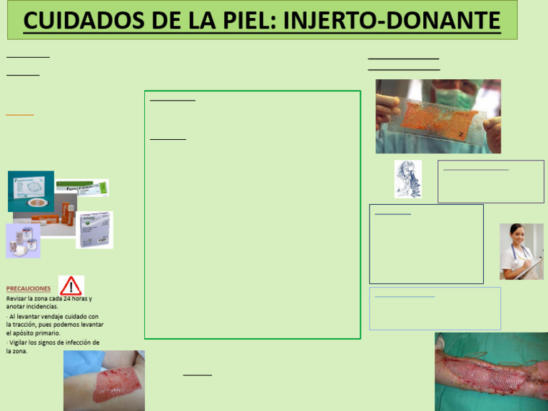 Injertos de Piel | PDF | Medicina | Enfermedades y trastornos