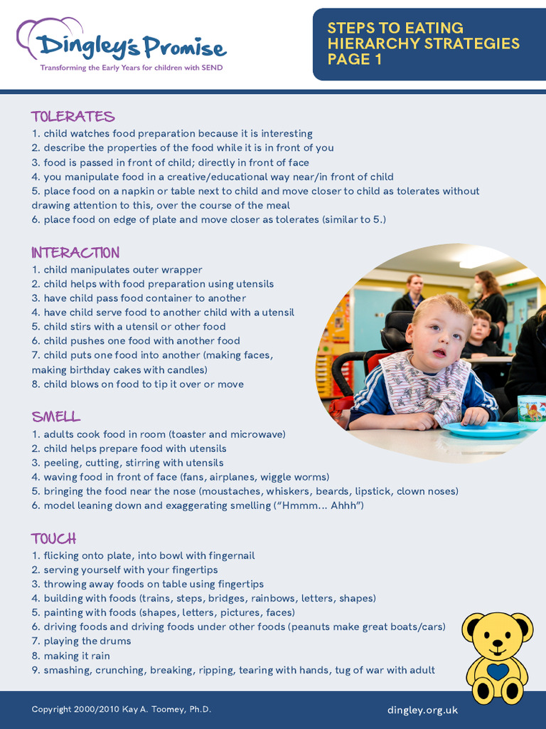 Steps To Eating Hierarchy Strategies | PDF