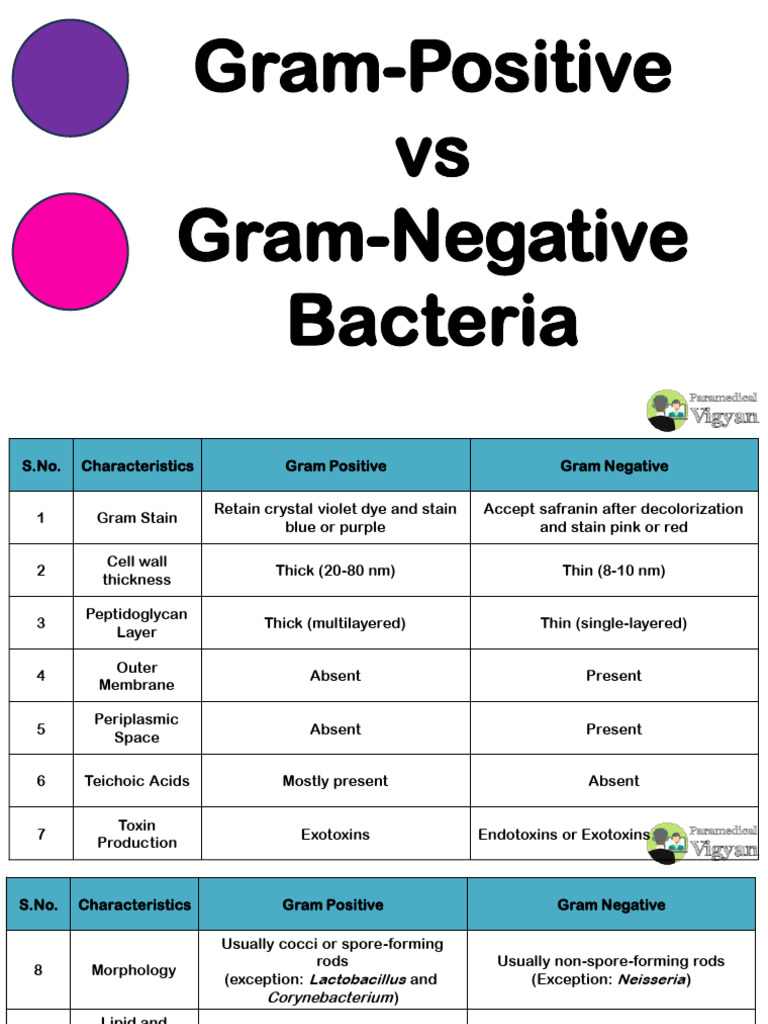 Gram Positive Vs Gram Negative Bacteria | PDF