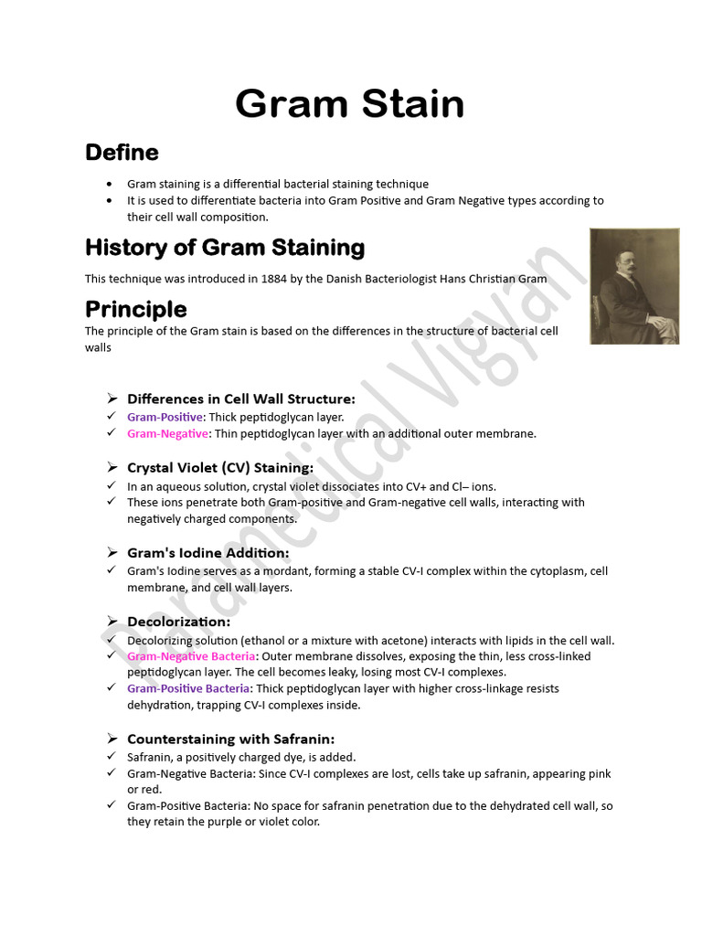 Gram Stain Notes | PDF | Histopathology | Microscopy