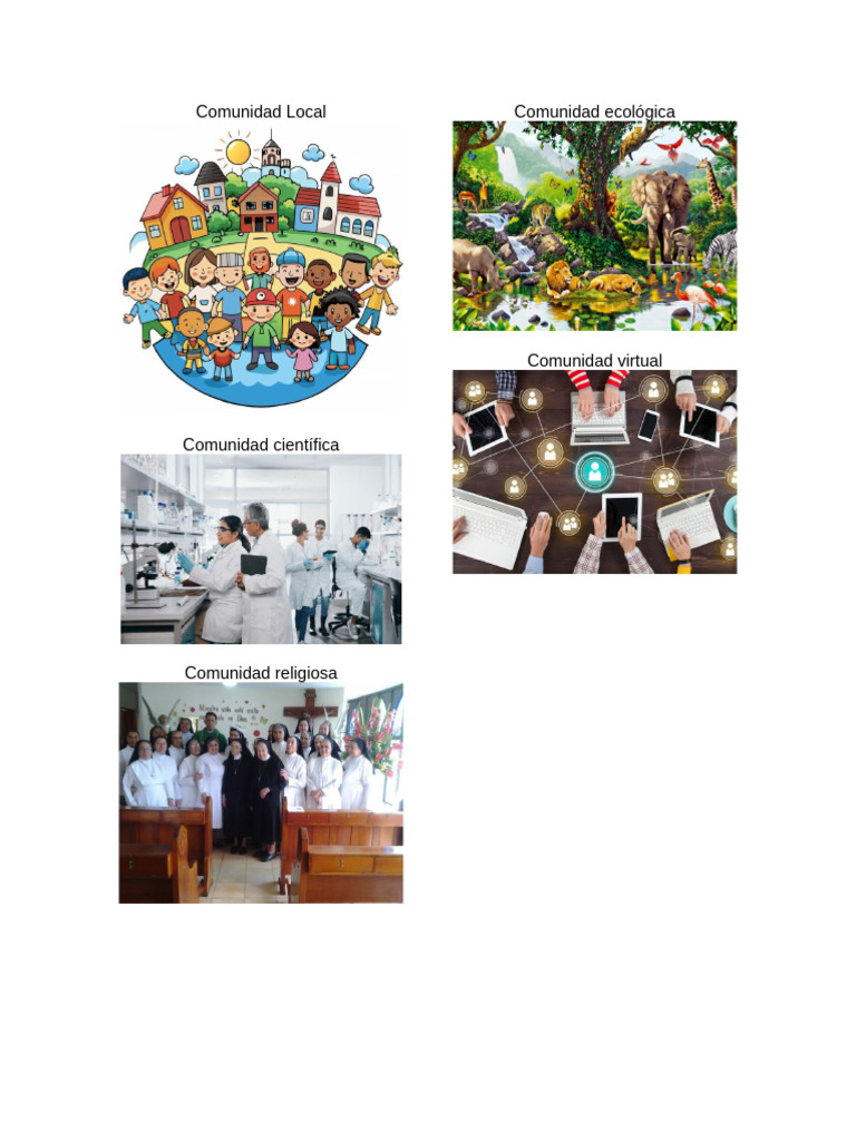 Comunidad Local | PDF