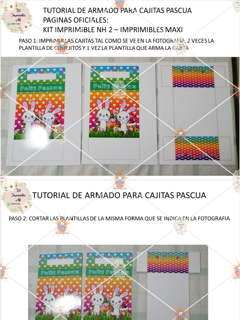 Tutorial Armado | PDF