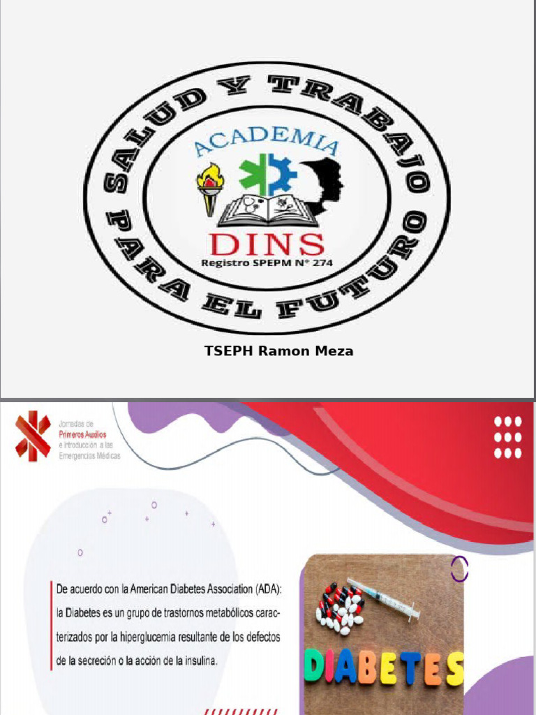 TSEPH Ramon Meza Overview | PDF