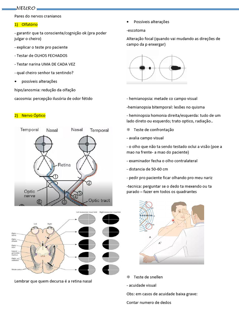Pares Do Nervos Cranianos | PDF | Sistema visual | Olho humano