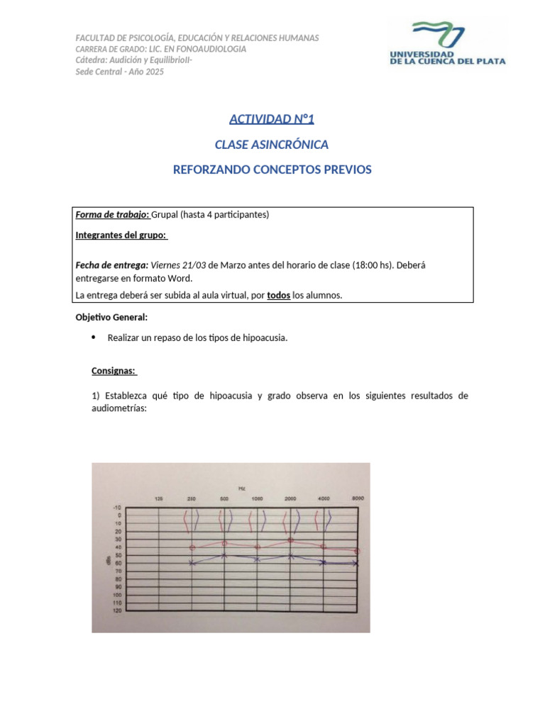 Tipos y Grados de Hipoacusia en Audiometría | PDF