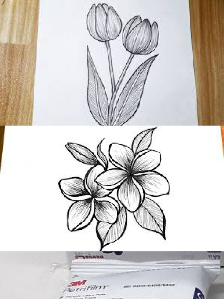 Pdf24 Converted 4 Pdf