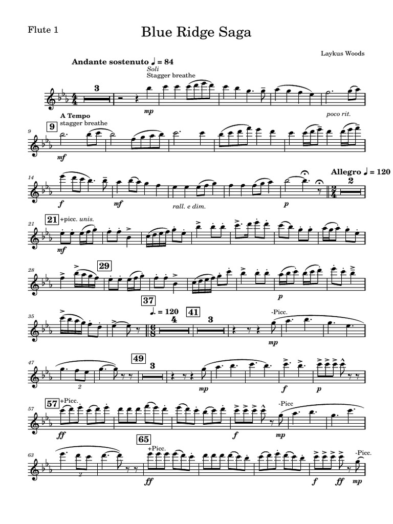 Blue Ridge Saga: Flute Sheet Music | PDF | Tempo | Musical Forms