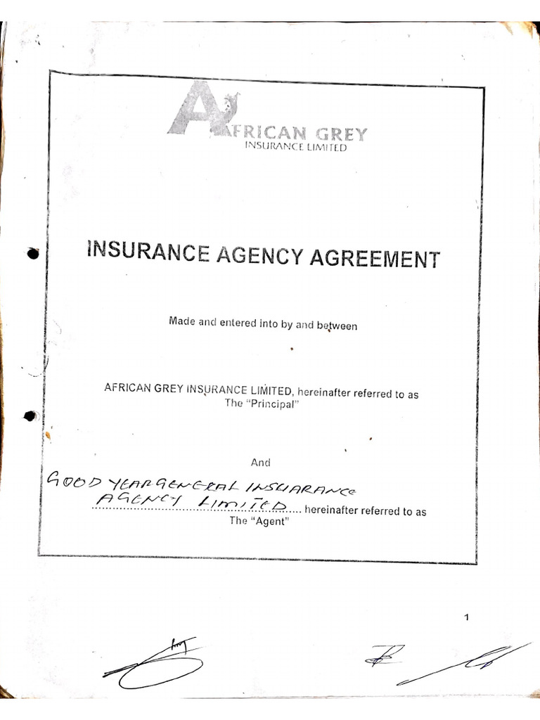 Agency Agreement | PDF