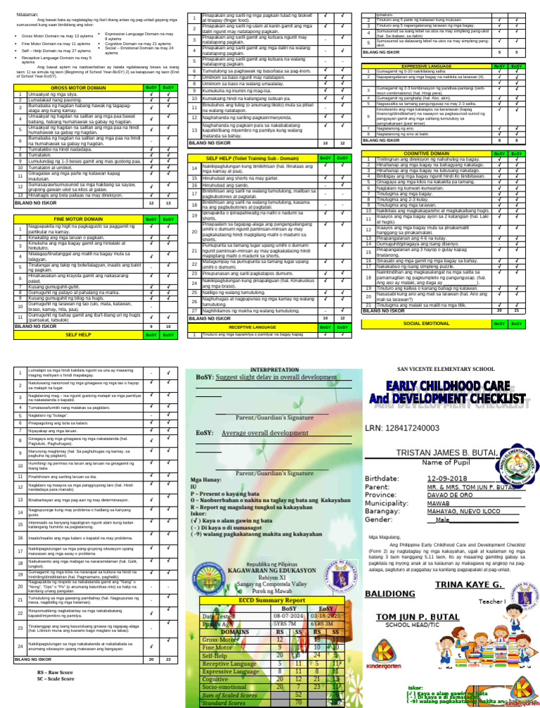 Sves - Eccd Cheecklist 2024 Tristan | PDF