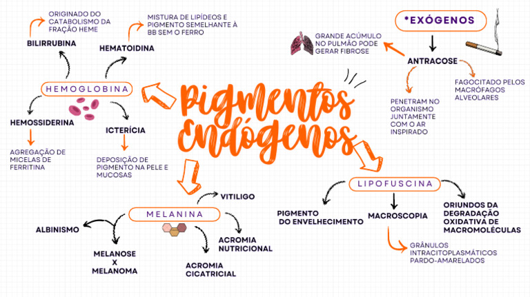 Lipofuscina: O Que É e Seus Efeitos | PDF