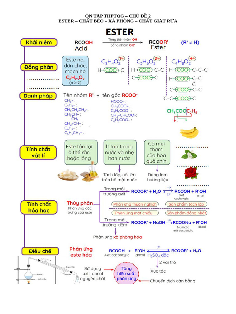 Gv Cđ 2 - Ester Hoa 12 Ôn Tập Thptqg 2025 | PDF