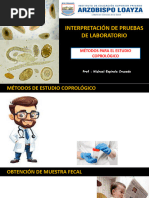 Coprologico, Coproscopico y Coprocultivo | PDF