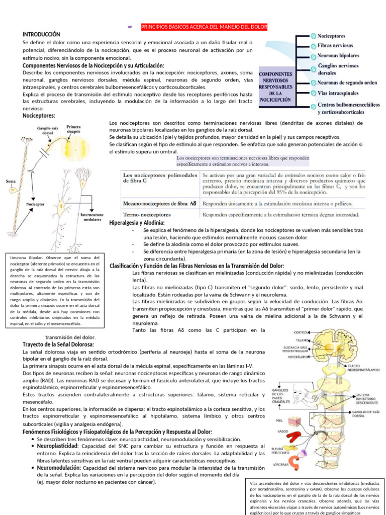 Manejo del Dolor: Nocicepción y Fisiología | PDF | Dolor | Droga anti ...