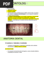 Diferentes Caras Del Diente | PDF | Odontología | Anatomia dental