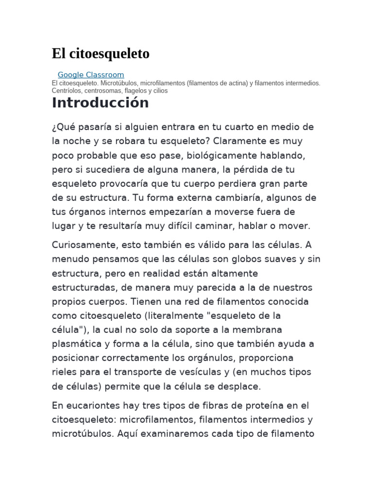 Estructura y funciones del citoesqueleto | PDF | Microtúbulos | Actina