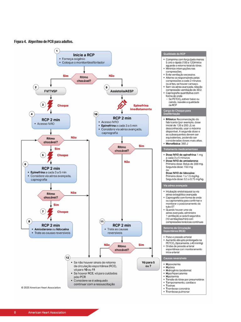 Algoritmo PCR Adultos AHA | PDF