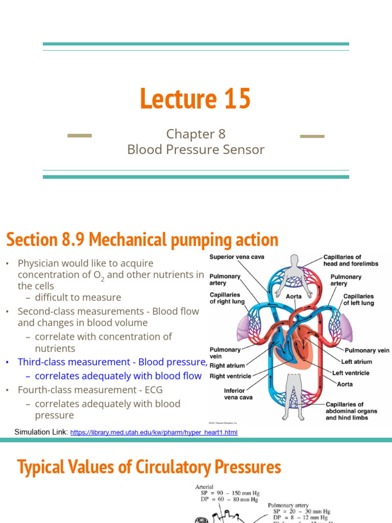 Lecture 15-2020 | PDF | Pressure Measurement | Blood Pressure
