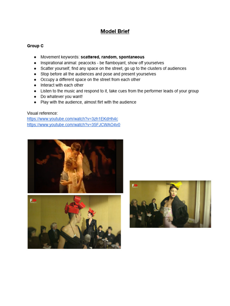 Group C Model Brief | PDF
