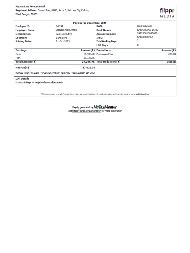December 2024 Payslip for Sales Executive | PDF