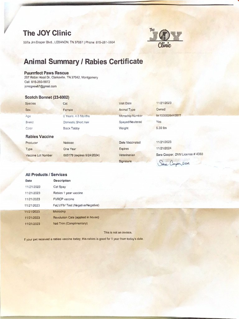 The JOY Clinic | PDF