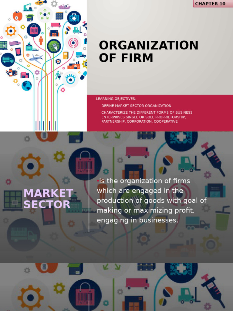 Organization of Firm - Chapter10 | PDF | Cooperative | Sole Proprietorship