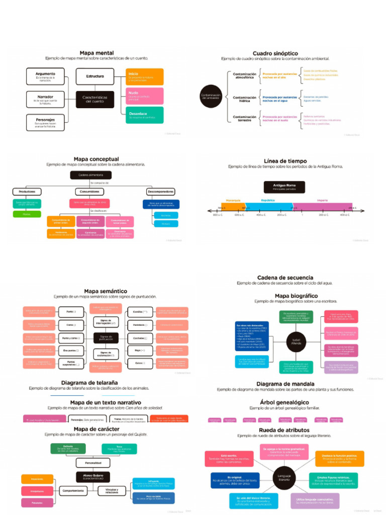 Organizadores Gráficos | PDF