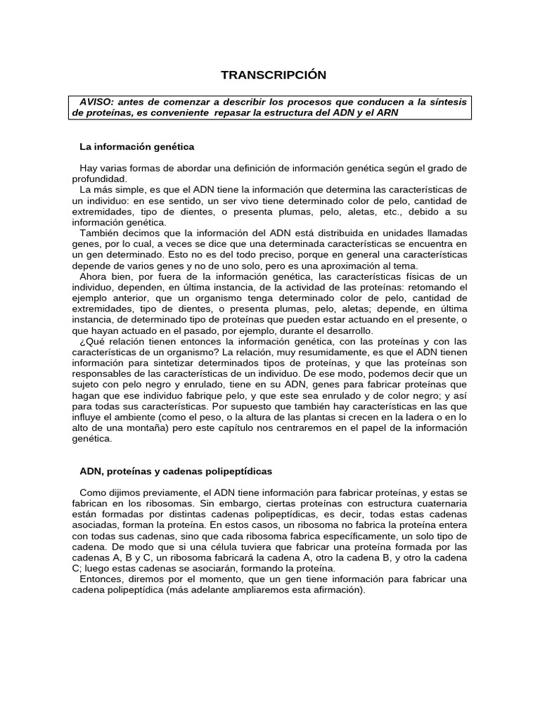 Transcripcion. Resumen 2024 | PDF | Rna | Messenger Rna