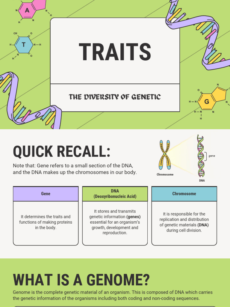 Genetic Variation Education Presentation in Green Beige Style | PDF ...