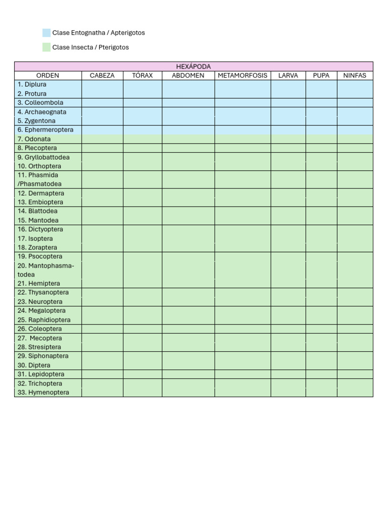 Cabeza Prognata en Entognatha | PDF | Mosca | Crisálida