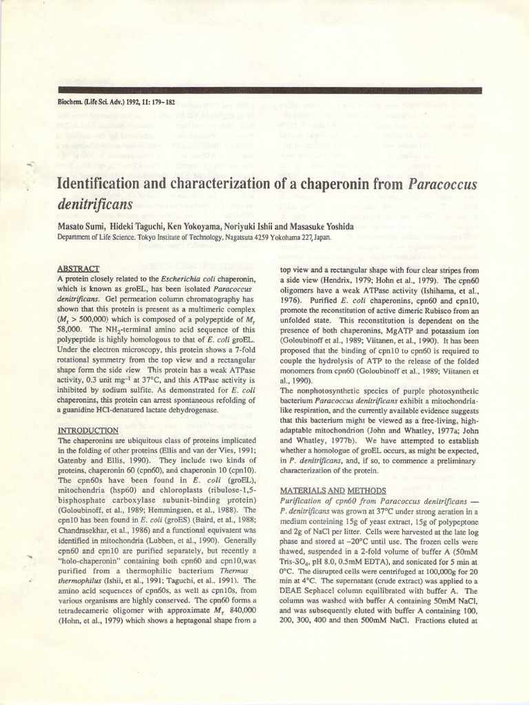 Characterization of Paracoccus cpn60 | PDF | Polyacrylamide Gel ...