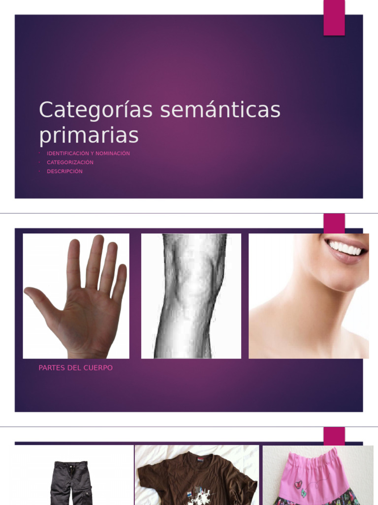 Clasificación de categorías semánticas | PDF