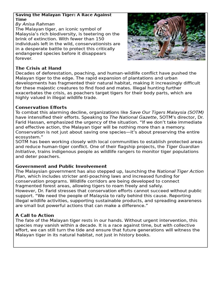 Saving The Malayan Tiger (Article) | PDF