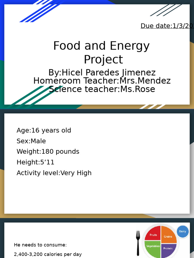 Food and Energy Project | PDF