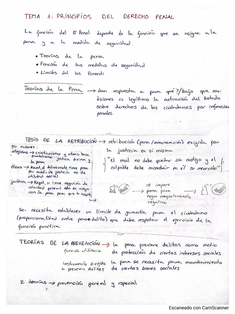 Esquemas Penal General | PDF