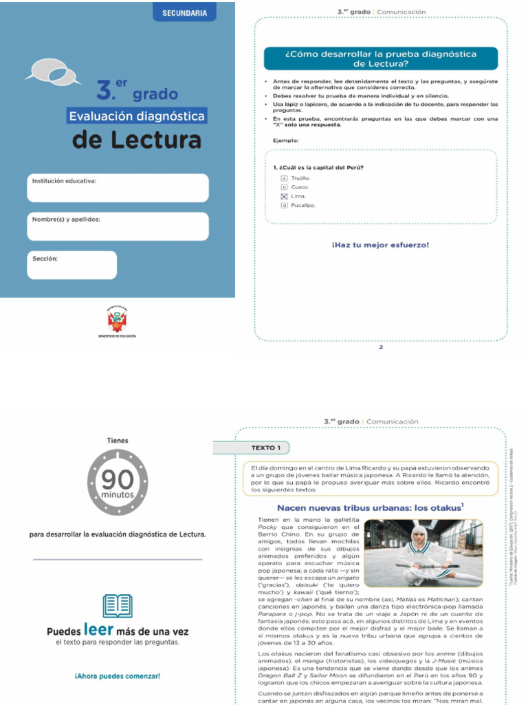 3° Prueba Diagnóstica-Lectura y Escritura 2025 | PDF | Comunicación humana