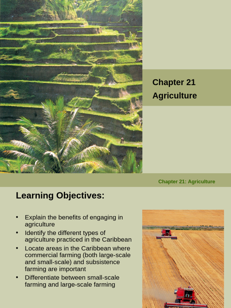 Agriculture in the Caribbean: Types & Benefits | PDF | Agriculture | Smallholding