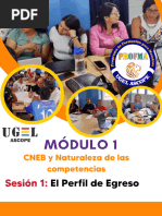 SAEE - 12a Perfil del estudiante en proceso de transición postescolar ...