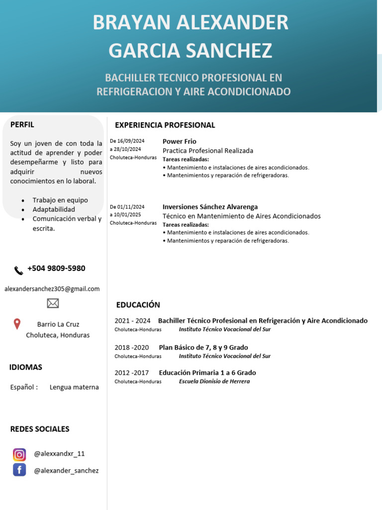 CV Brayan | PDF