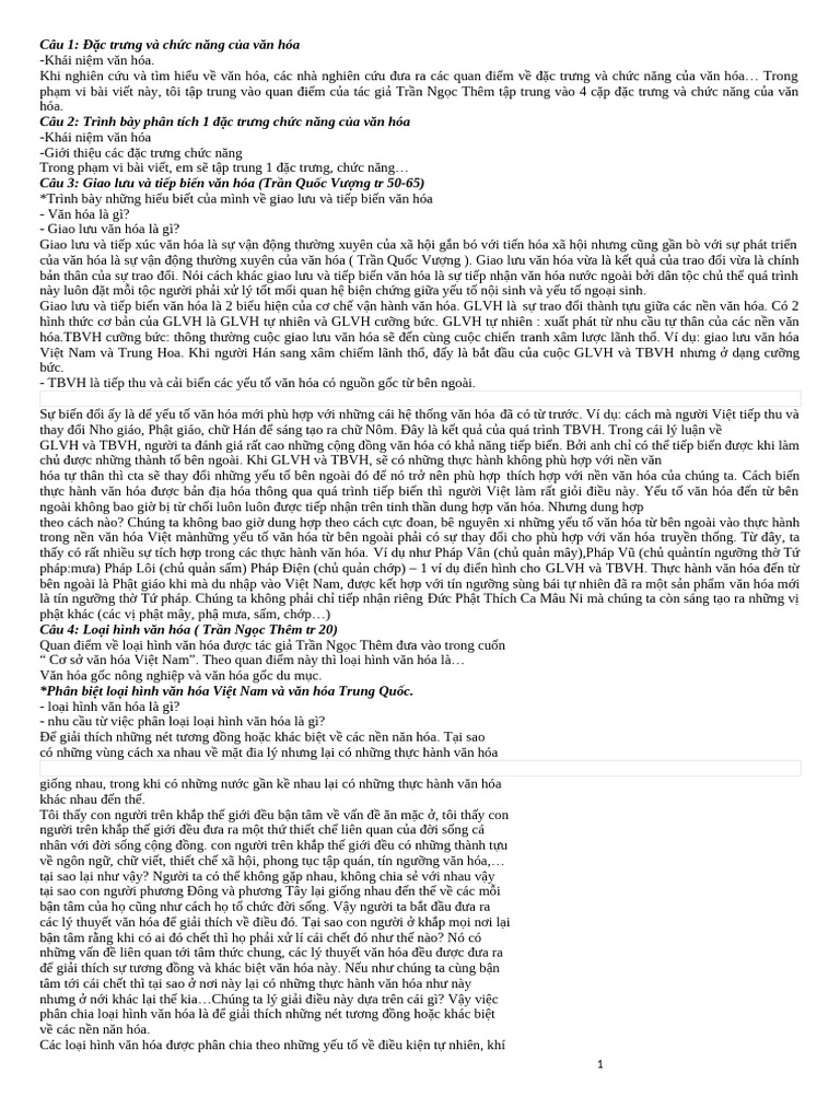 De Cuong 1 - Co So Van Hoa Viet Nam | PDF