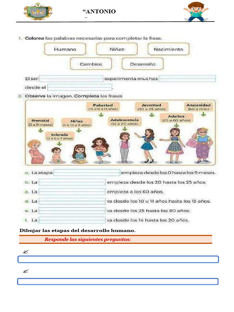 Etapas de la pubertad | PDF