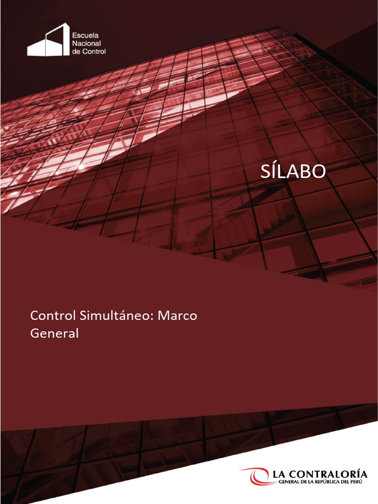 01 Silabo Control Simultaneo MG | PDF