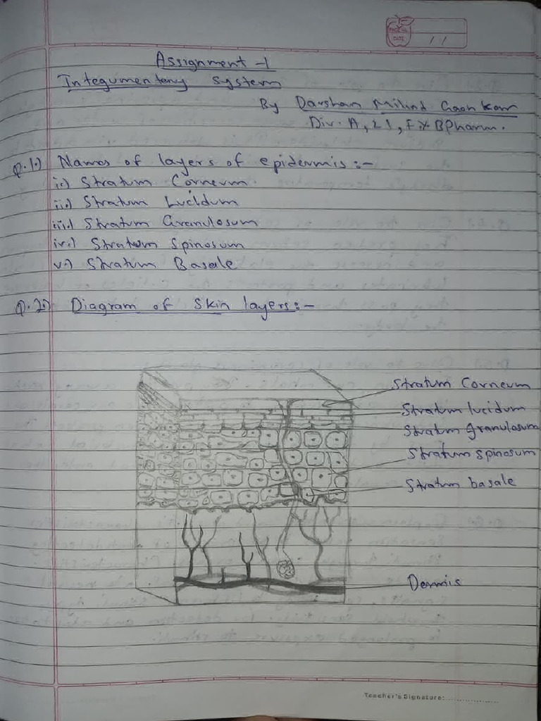 Hap Assignment | PDF