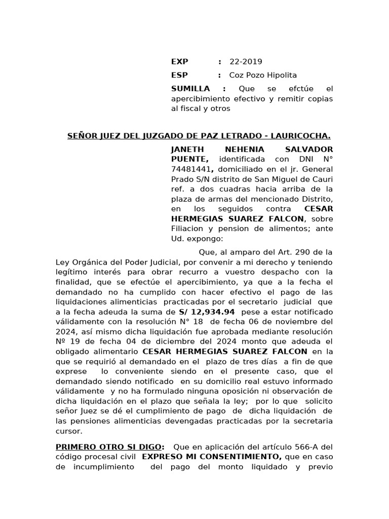 Apercibimiento Janeth Salv. | PDF | Pensión alimenticia | Gobierno